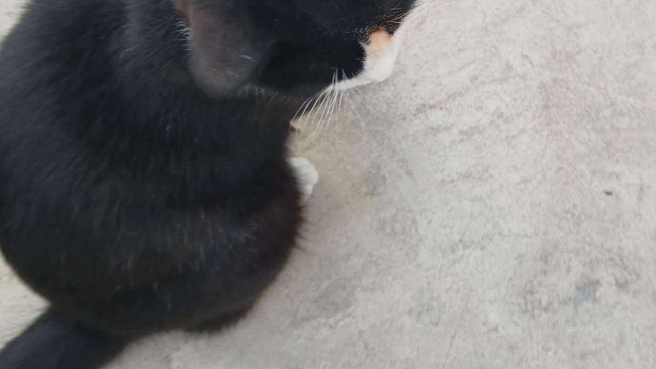 Anwer ali is live! - YouTube