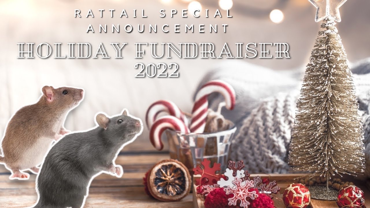 Rattail Holiday Fundraiser - New Kids On The Block - YouTube