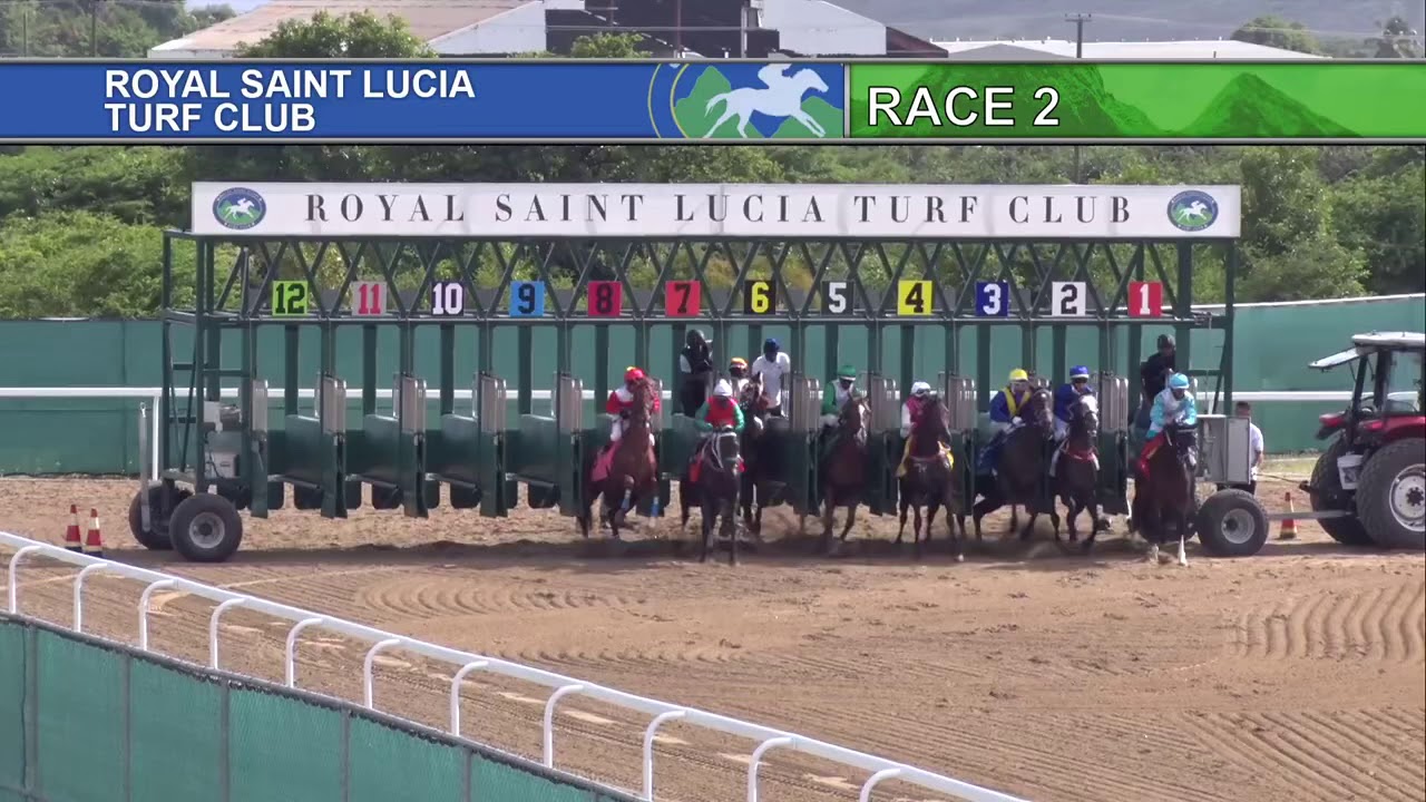 Royal Saint Lucia Turf Club National day horse race 2 - YouTube