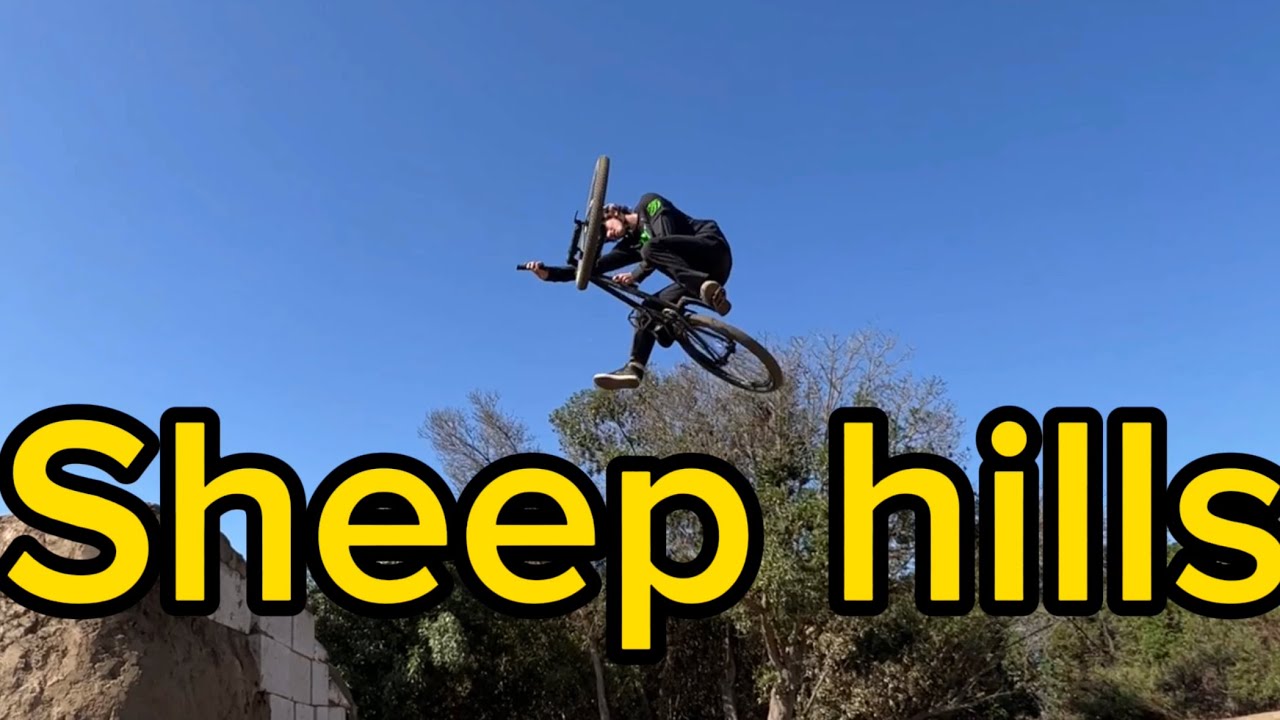 Early morning sheep hills ride - YouTube