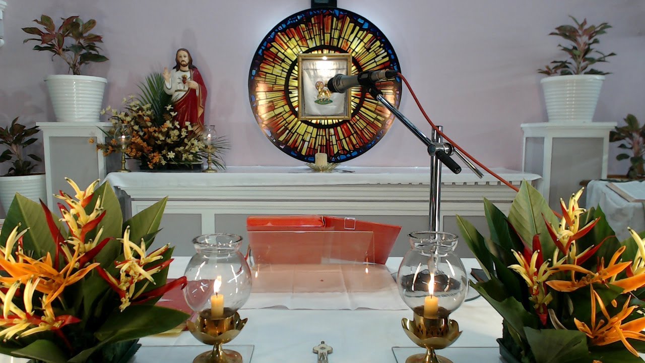 HOLY MASS 29 JUNE 2020 - YouTube