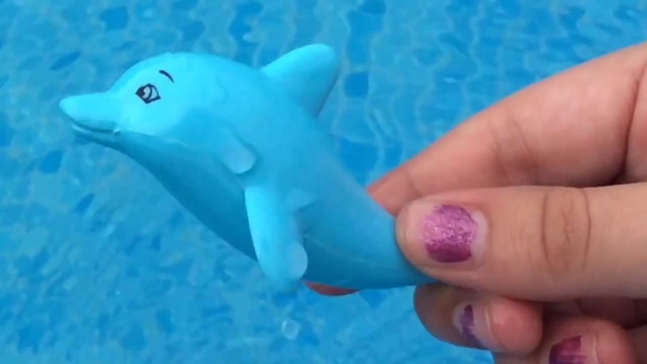 Aniversario 2017 "El delfín azul" 🐬🎹 - YouTube