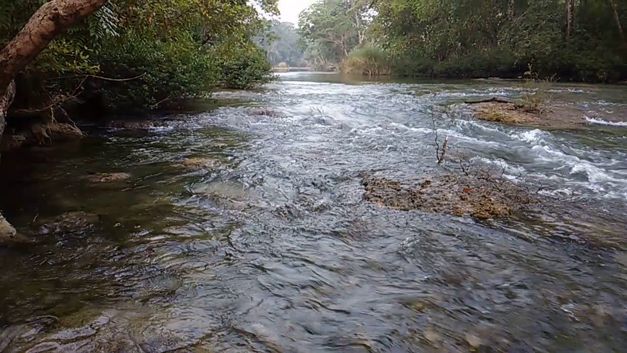 Mopan River Cayo District,Belize Central America. - YouTube