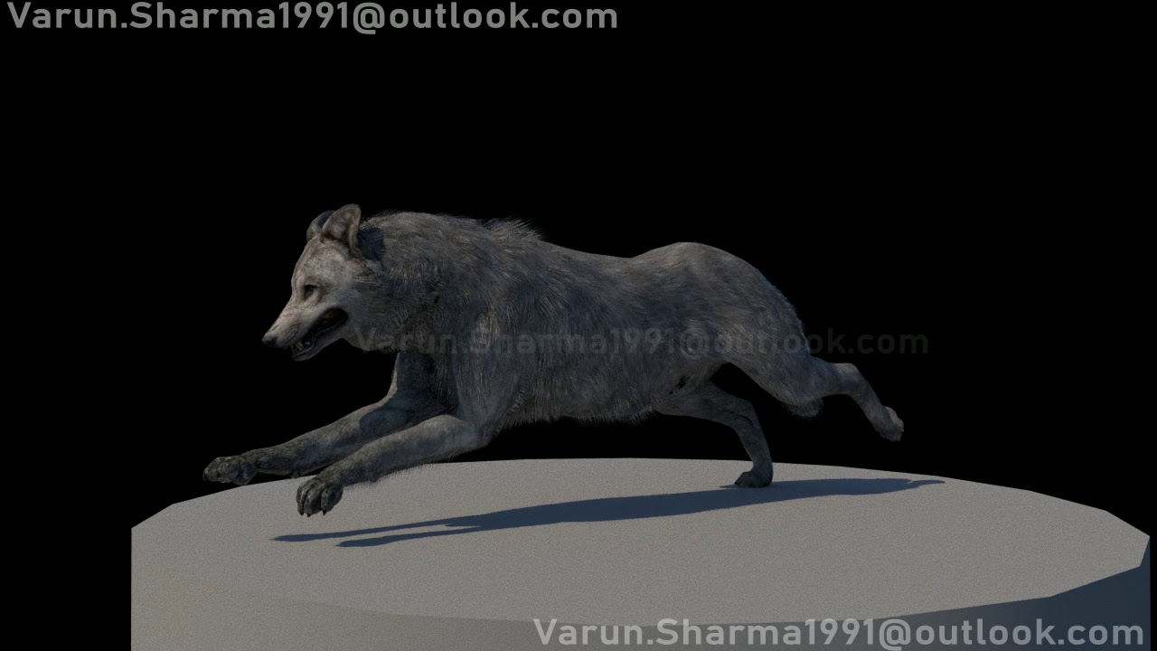 Wolf Run Cycle | Varun Sharma - YouTube