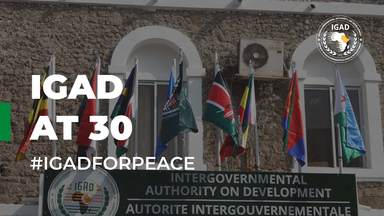 #IGADForPeace - IGAD@30 Year Celebrations - YouTube