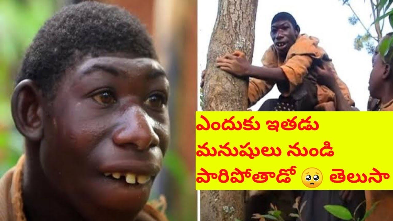 The Real Life Mowgli | Zanziman Ellie |facts in telugu | Telugu Visual ...