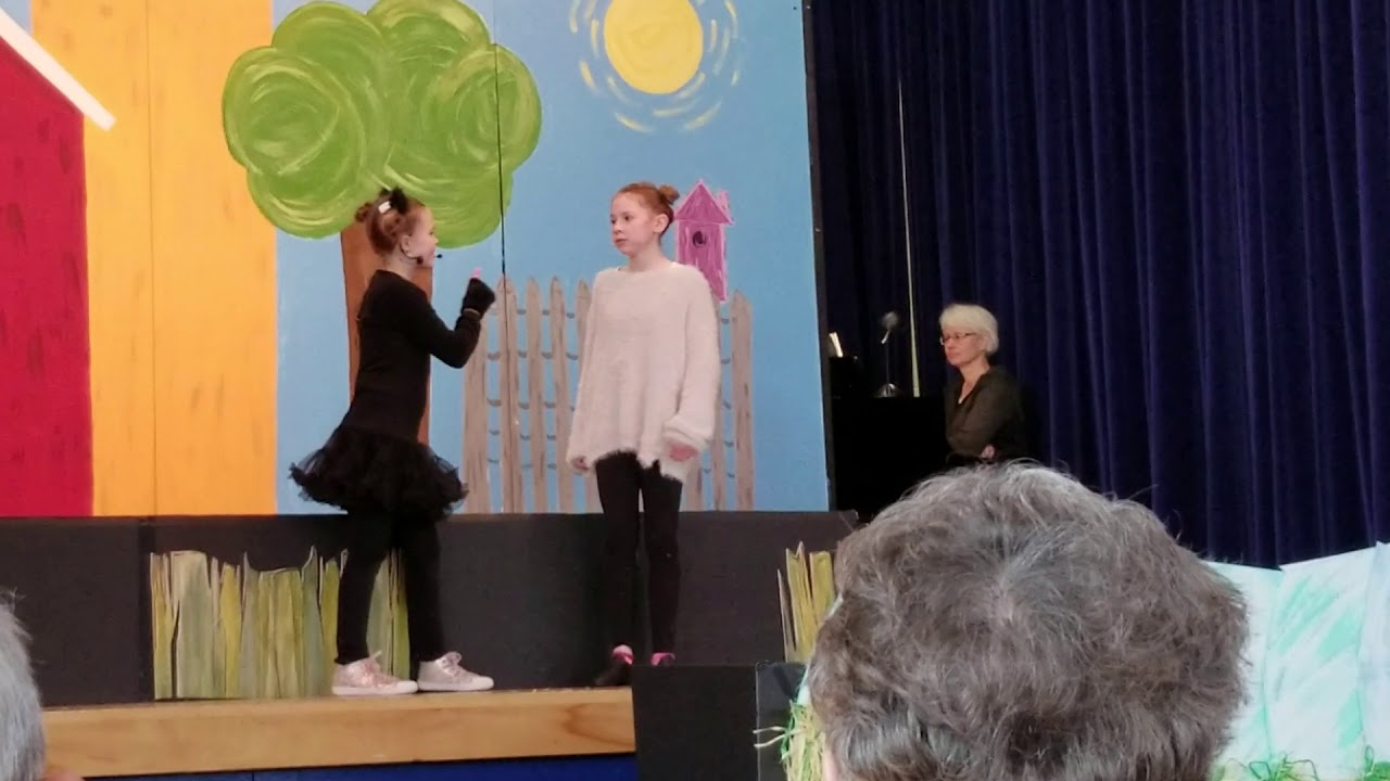 Honk show 1 2019 - YouTube