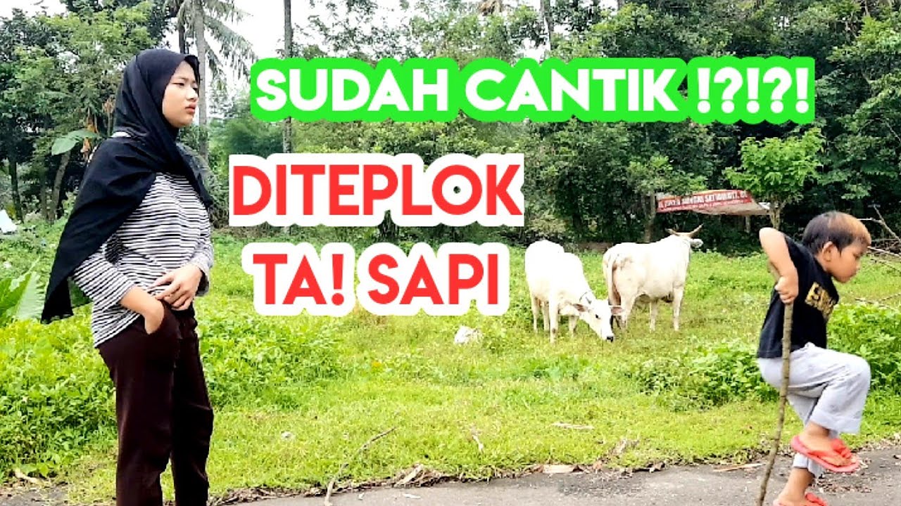 Di teplok Tai Sapi ! | Lucu Banget Sudah Dandan Di Teplok - Tai Kebo Di ...
