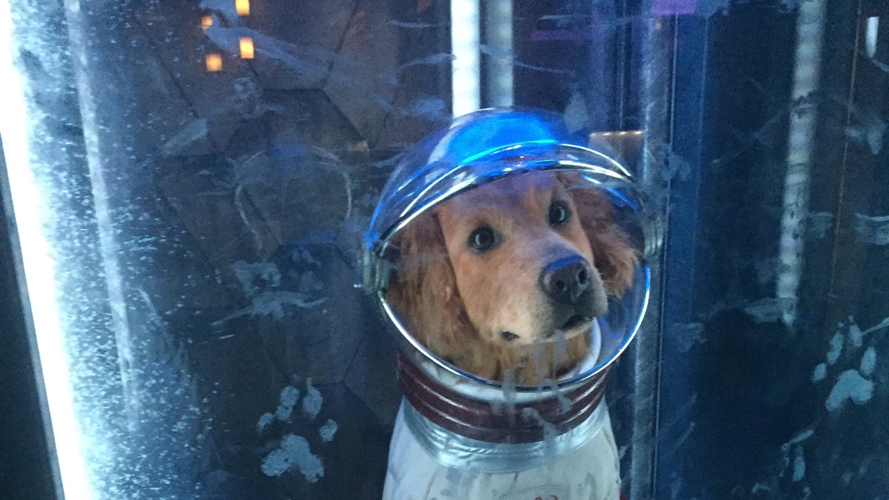 Building Matterhorn Bobsleds In Minecraft - Cheshireeee - YouTube