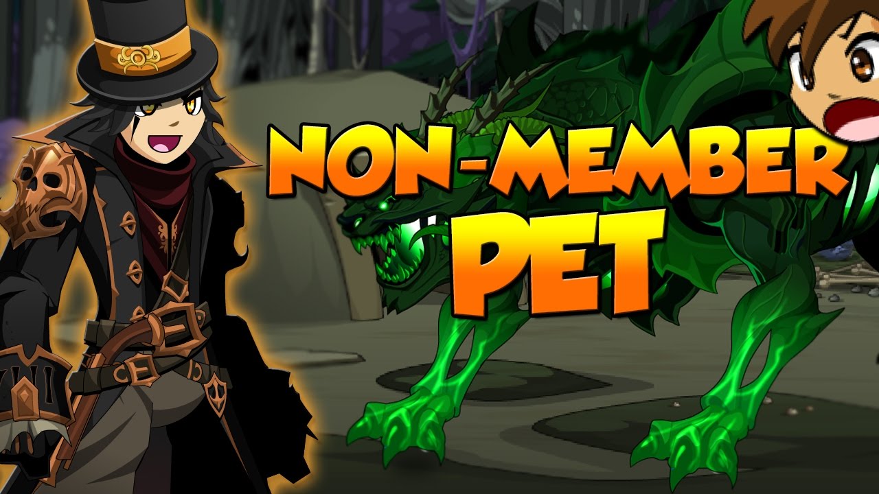 NON MEMBER PET (NOT RARE) AQW Adventure Quest Worlds - YouTube