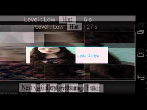 Lena Danya Puzzle