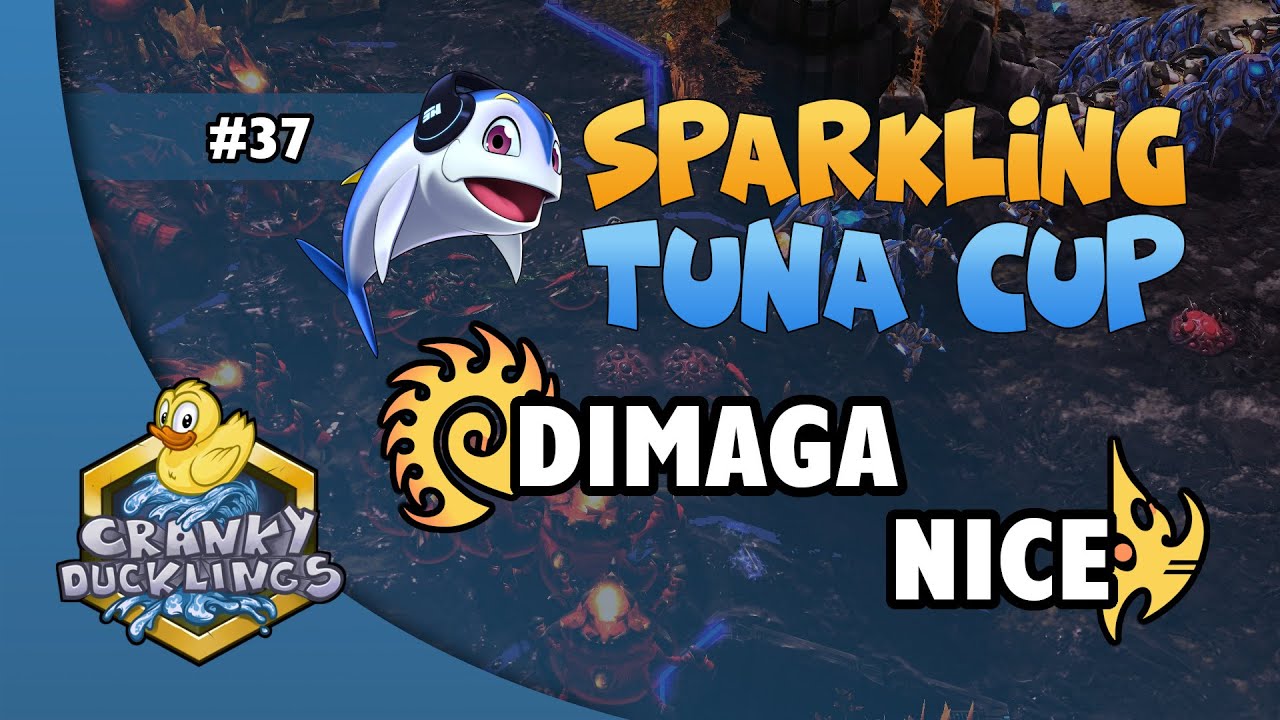 DIMAGA vs Nice - ZvP | Sparkling Tuna Cup #37 | Biweekly StarCraft 2 ...