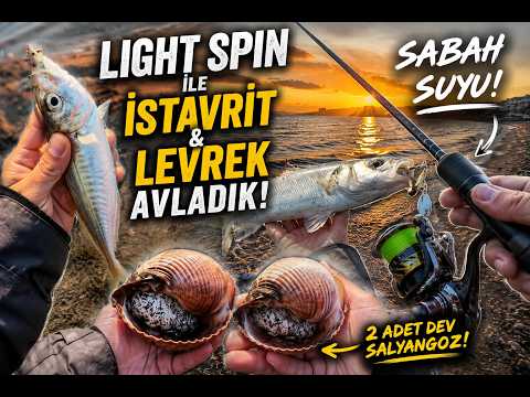 Denizden Balık Beklerken Dev Canlılar Çıktı! (Light Spin Avı)