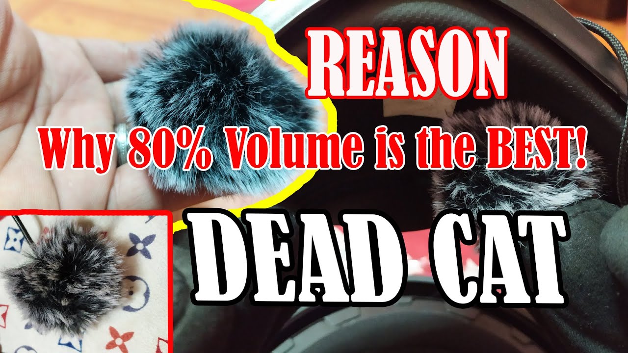Helmet Mic with Dead Cat | Reasons why Action Cam must stick on 80% ...