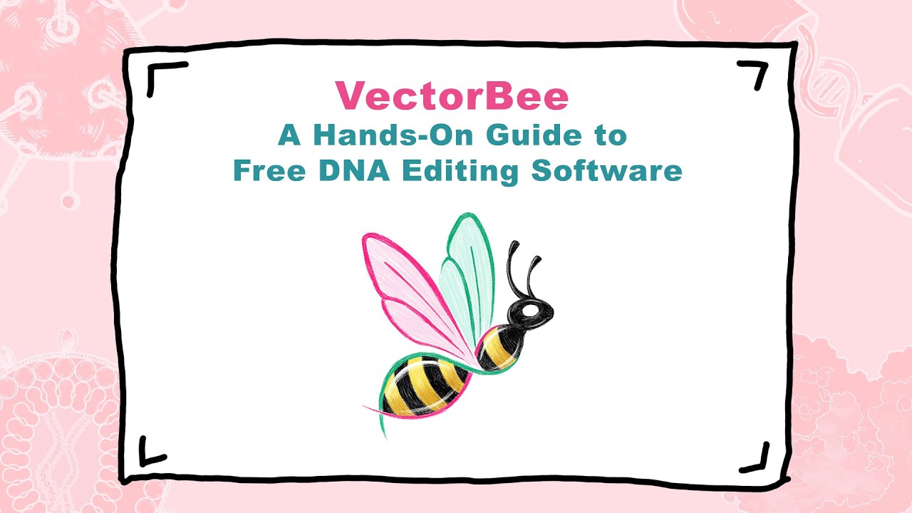 VectorBee: A Hands-On Guide to Free DNA Editing Software - YouTube