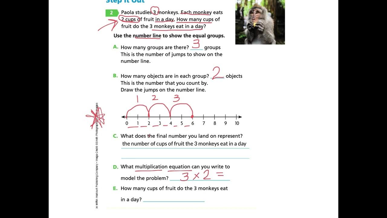 INTO MATH 3rd Grade Lesson 3.1 - YouTube