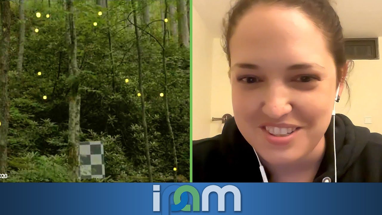 Orit Peleg - Emergent Spatiotemporal Patterns in Insect Swarms - IPAM ...