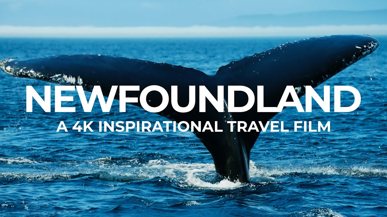 Newfoundland | A 4K Inspirational Travel Film - YouTube