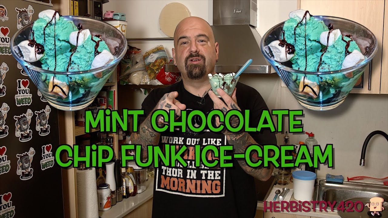 Infused Mint Chip Funk Ice-Cream – Funky Ice Cream Flavor - YouTube