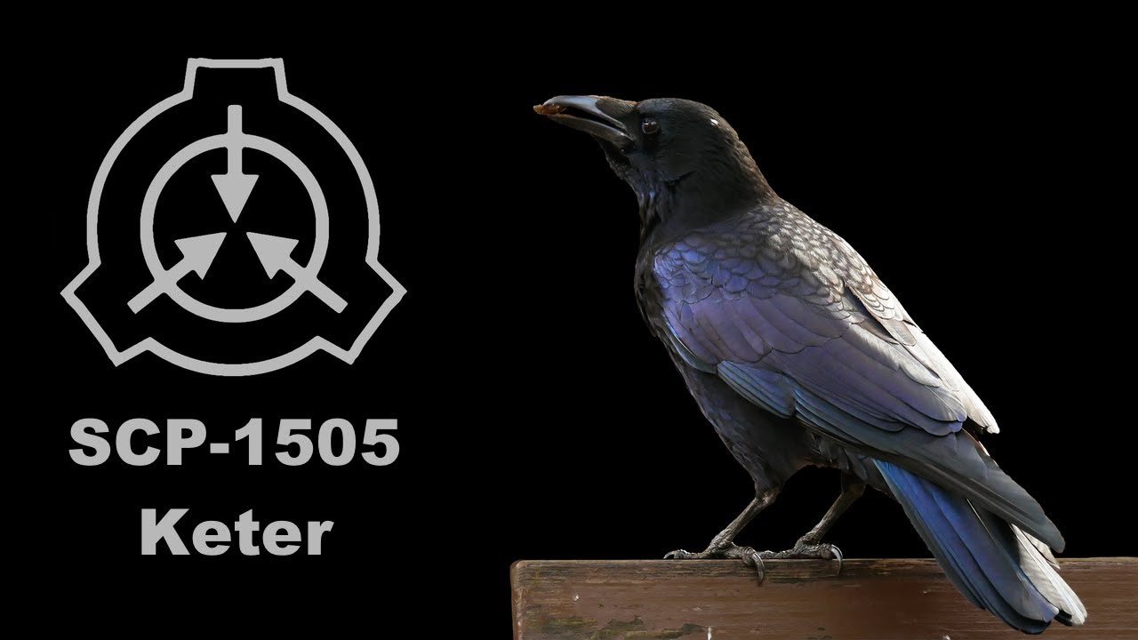 SCP-1505: Paradoxical Avian Propagation - YouTube