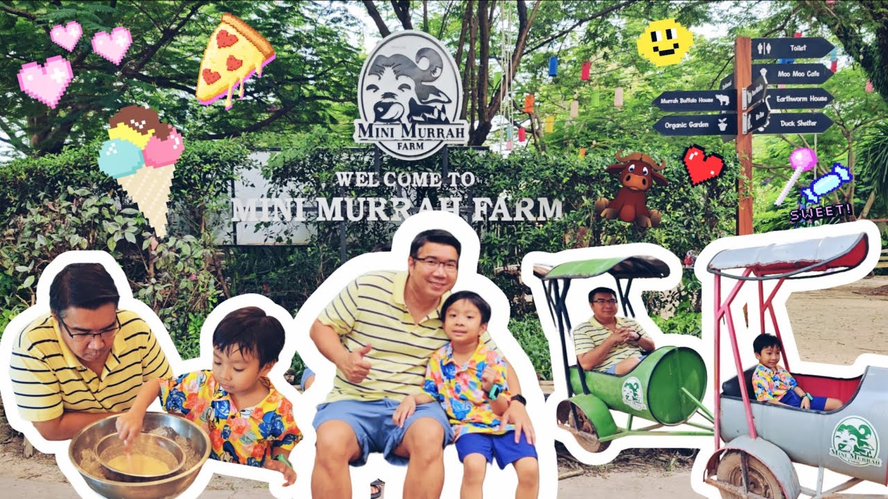 🍨Mini MurraH FaRM | 1 0 . 0 7 . 2 0 2 5🍕 - YouTube