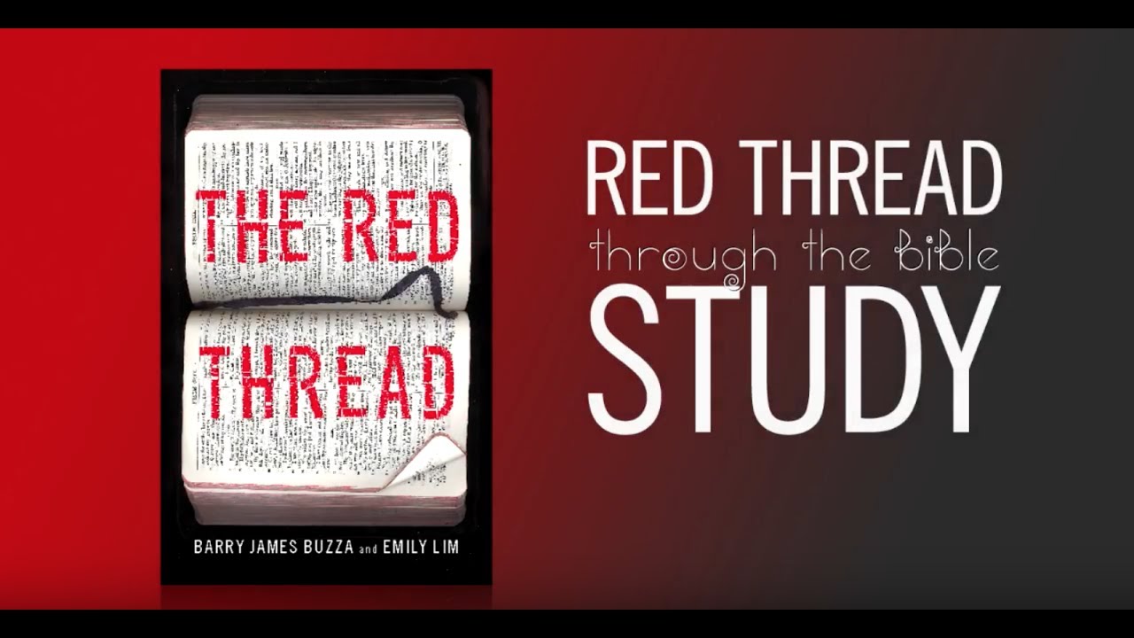 Bible Study: The Red Thread, Bk 2 Ch 3 | Week 20 - 1 Kings 1-10, So 1-8 ...