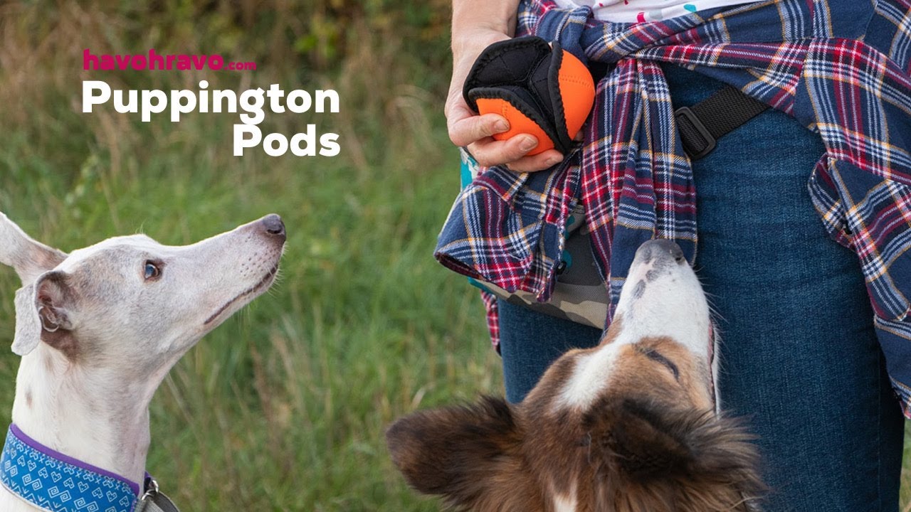 Fun with Puppingtons Pods - YouTube