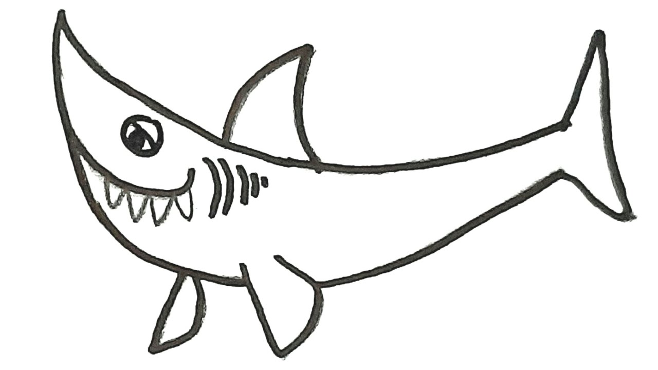 Easy Shark Drawing