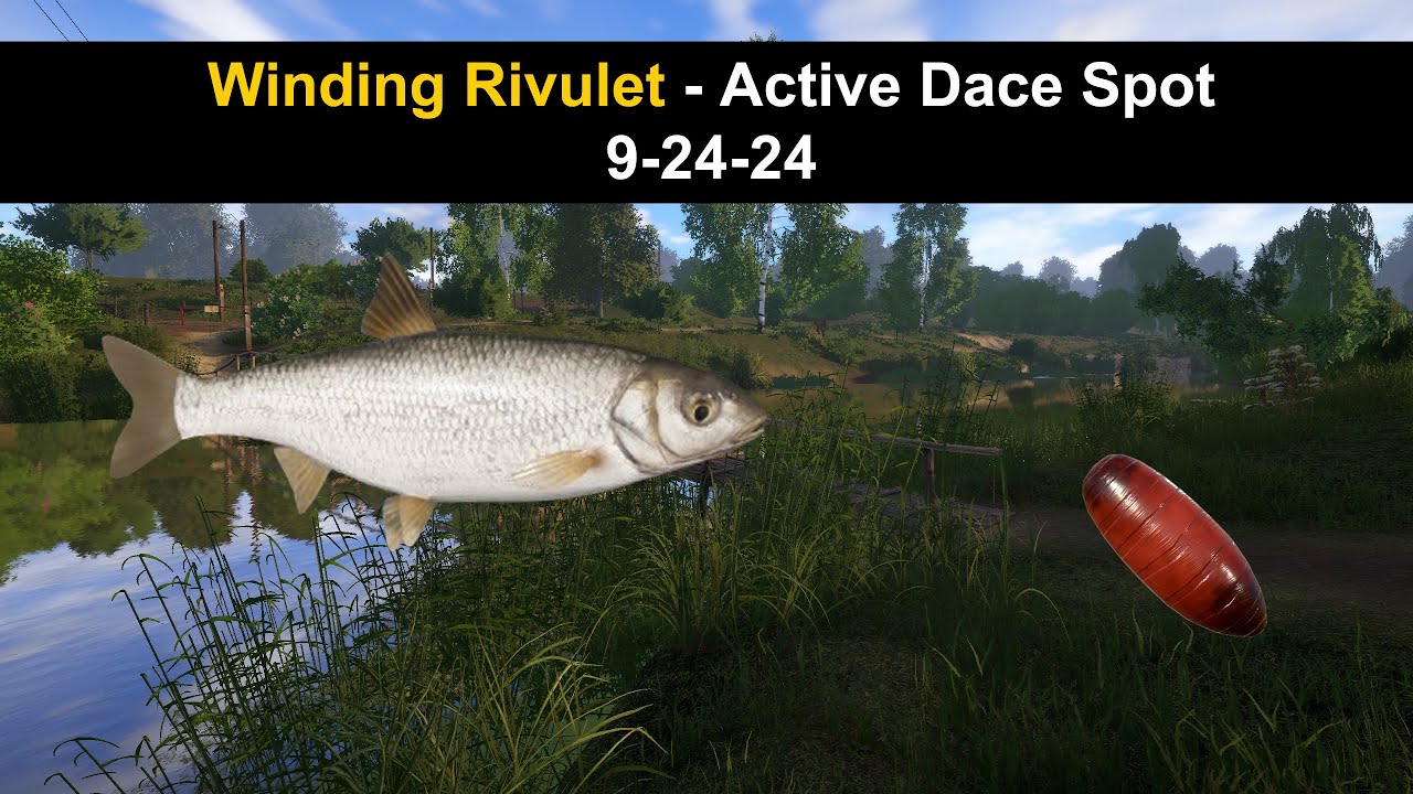 Russian Fishing 4, Winding Rivulet - Active Dace Spot 9-24-24 - YouTube