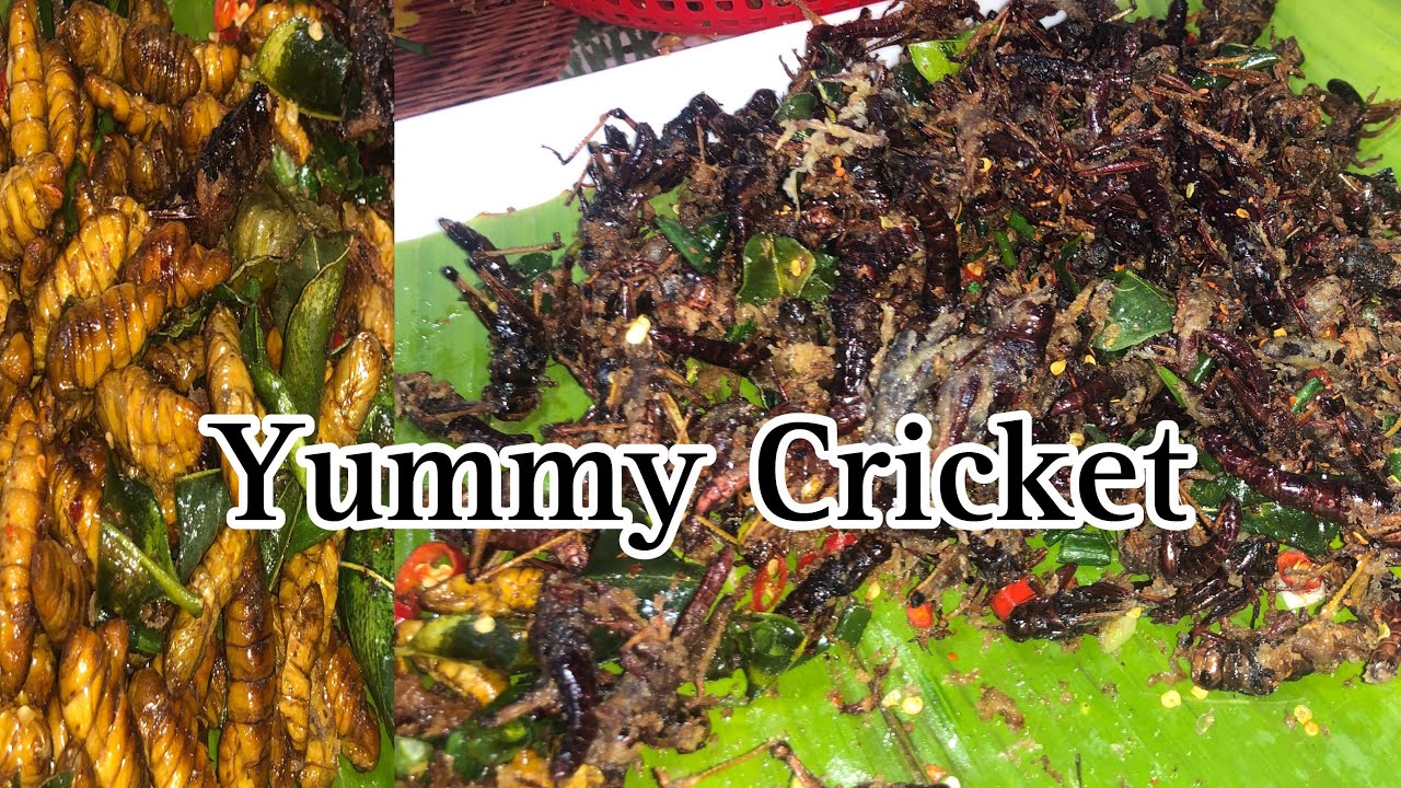Yummy with Crickets / Amazing food on the streets - YouTube