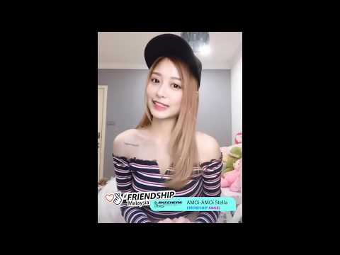 Friendship Angel - AmoiAmoi stalla