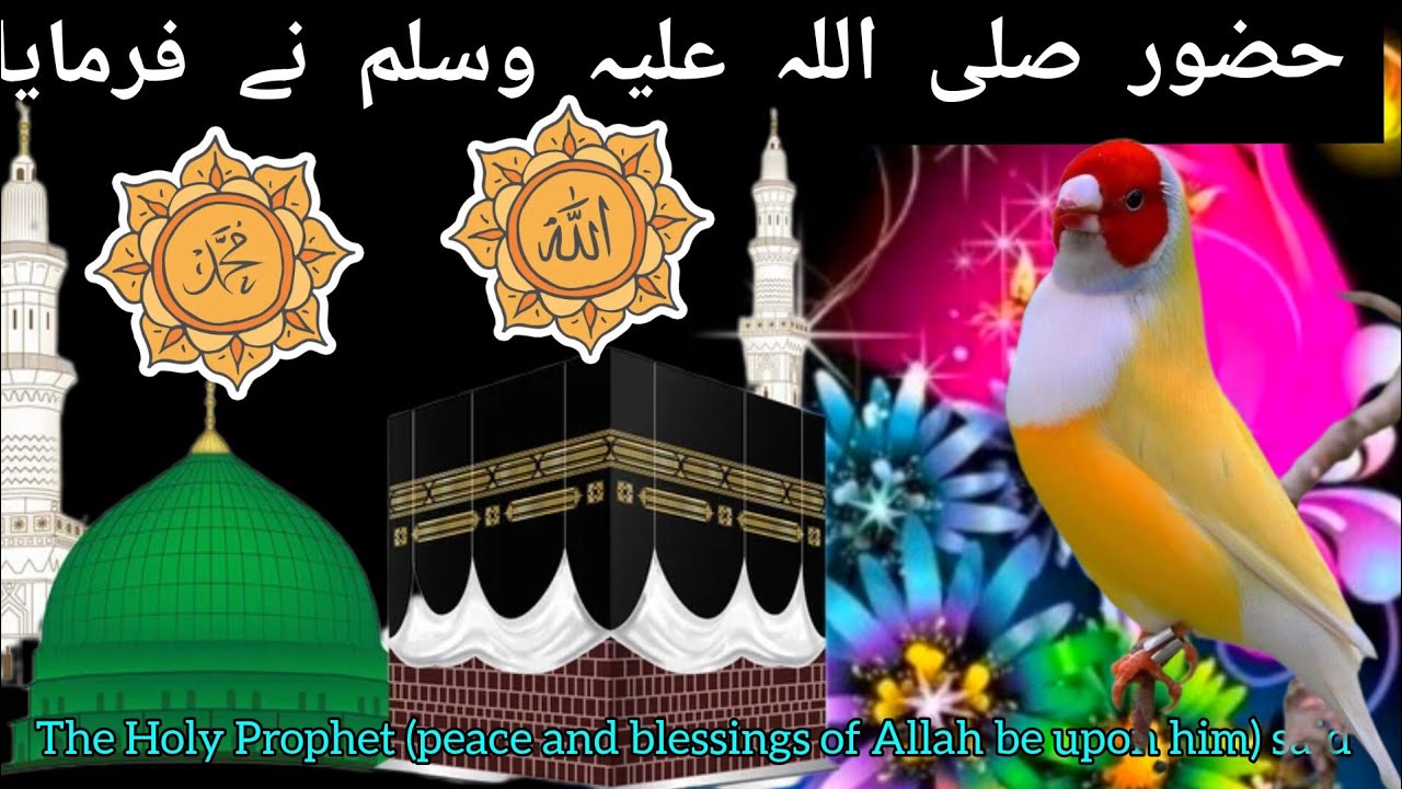 The Holy Prophet (peace and blessings of Allah be upon him) said🌟حضور ...