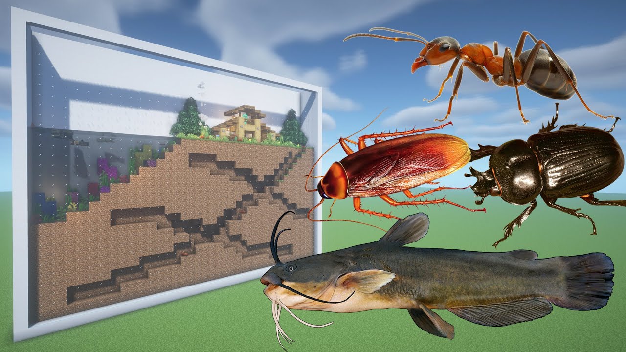 How To Make an Ant, Beetle, Cockroach, and Catfish Farm in Minecraft PE ...