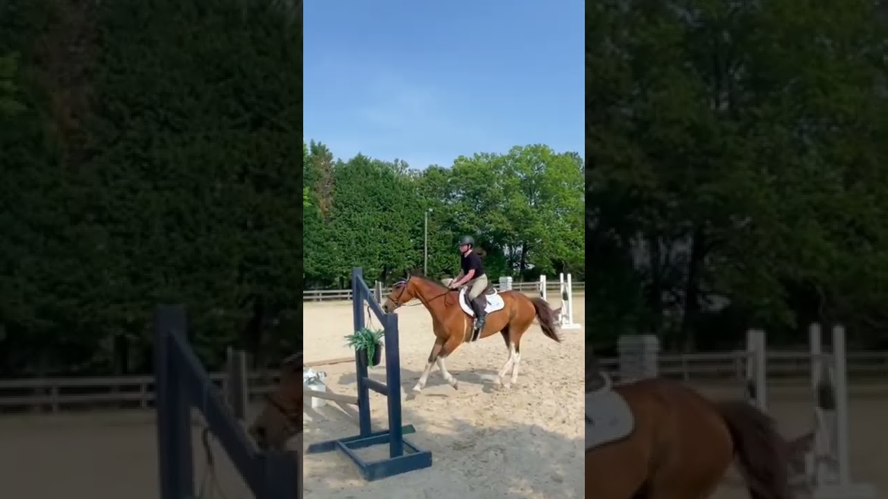 Not graceful - YouTube