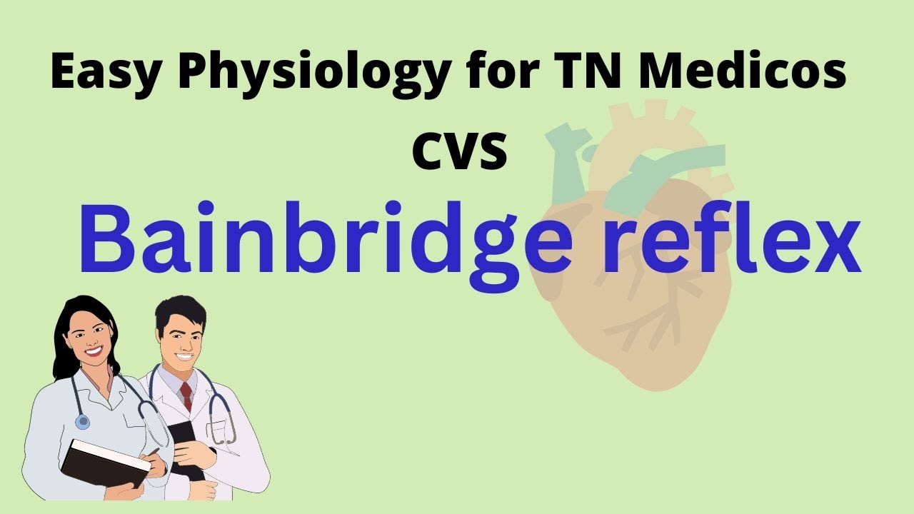 Bainbridge Reflex - YouTube