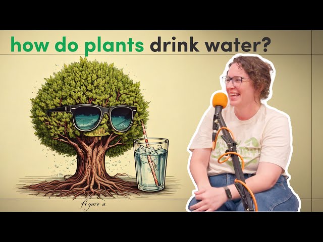How Do Plants Drink Water Is Hard Water Bad For Plants? Rayne Water
