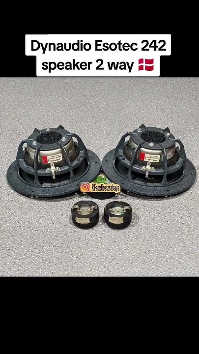 Dynaudio Esotec 242 speaker 2 way made in Denmark - YouTube