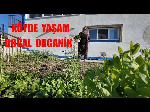 ŞİFA KAYNAĞI BAHÇEMİZDEN BEŞ ÇEŞİT KARIŞIM HATİCE HANIMIN ELLERİDEN