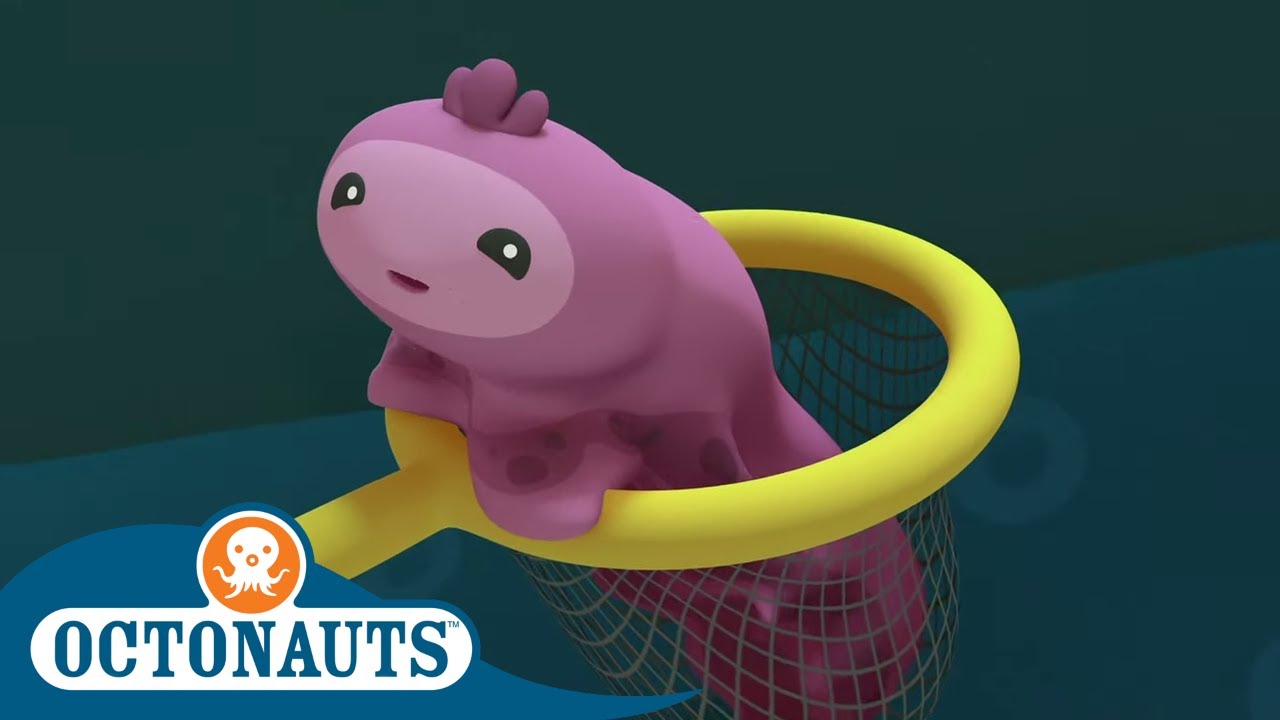 Octonauts - Cute and Tiny Sea Creatures | Cartoons for Kids ...