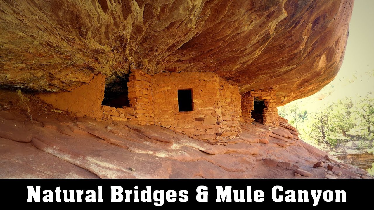 Natural Bridges National Monument and Mule Canyon - UTAH - Native Ruins ...