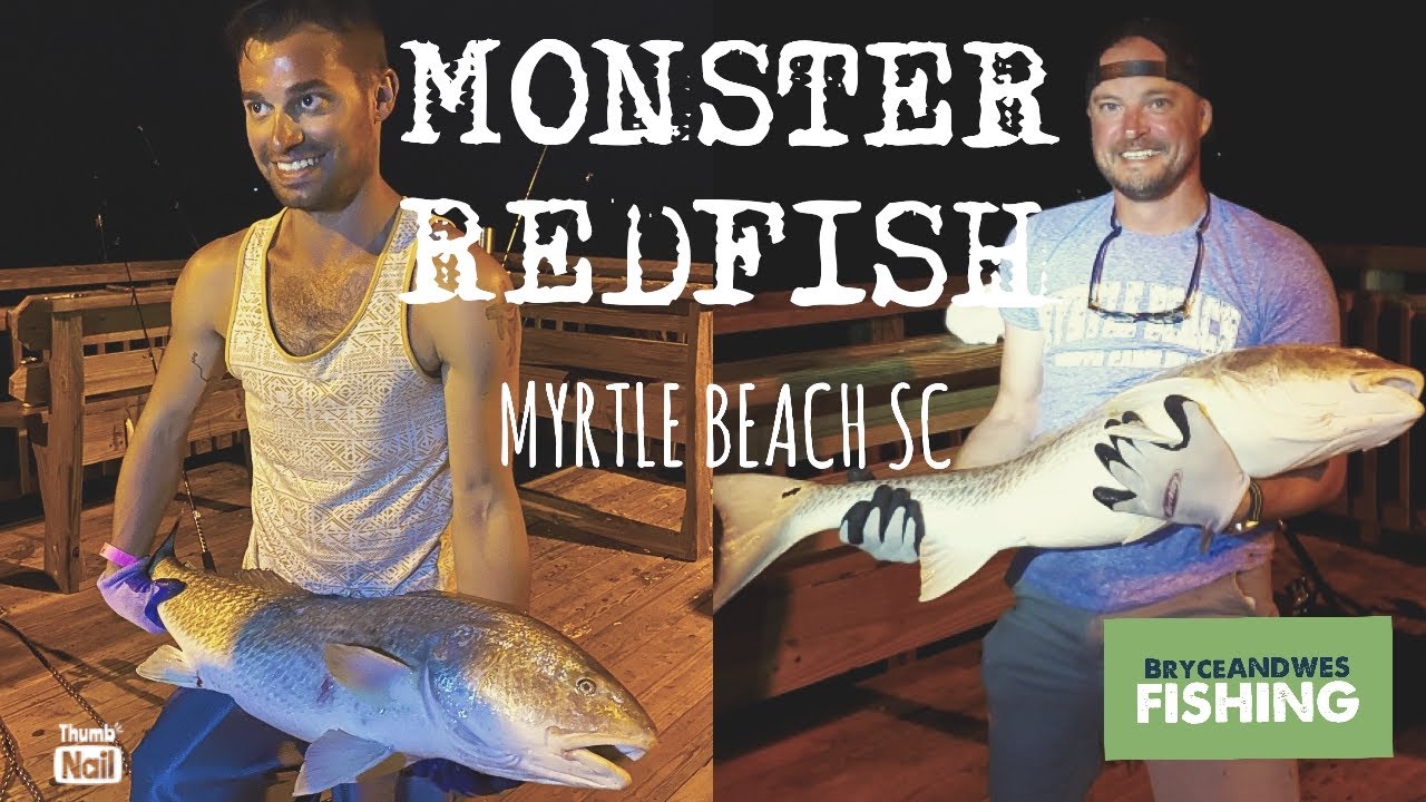 MONSTER REDFISH!!! Myrtle Beach SC - Springmaid Pier - YouTube