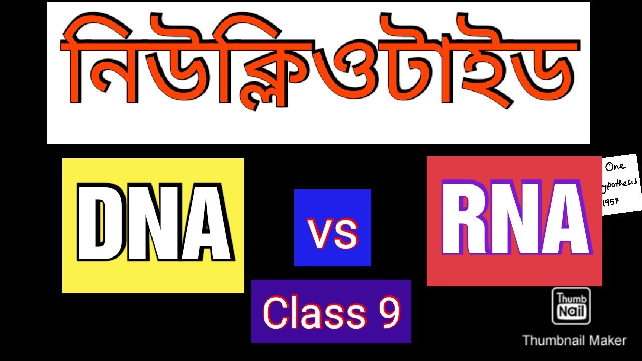 নিউক্লিওটাইড, DNA, RNA | Class 9 | জীবন বিজ্ঞান - YouTube