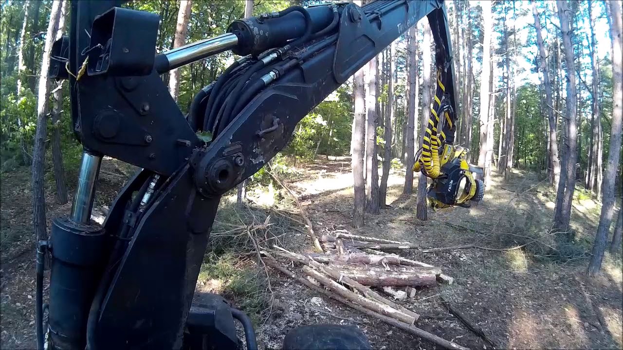 Timberjack 1270B. harvester. forestry H755B - YouTube