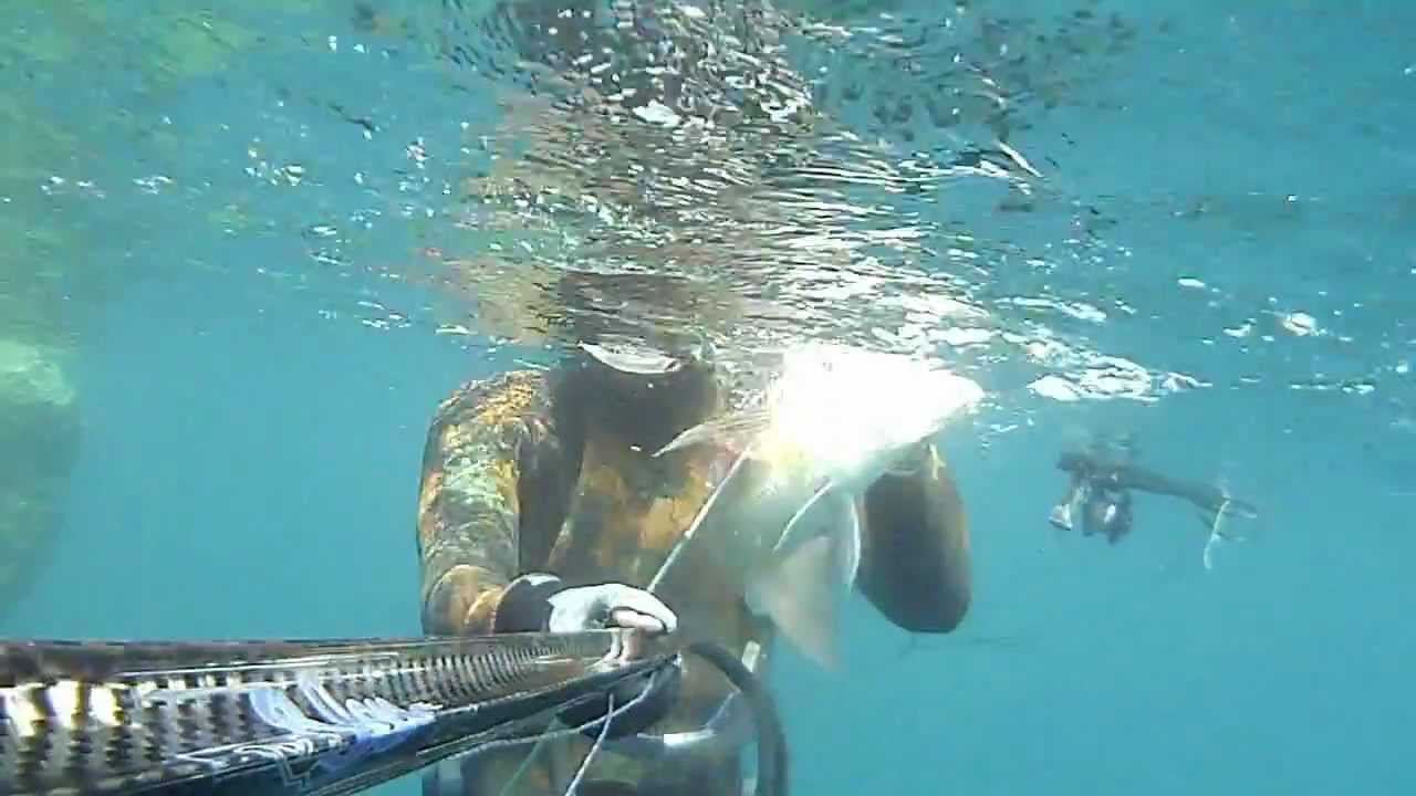 Zobatec 2.5kg - YouTube