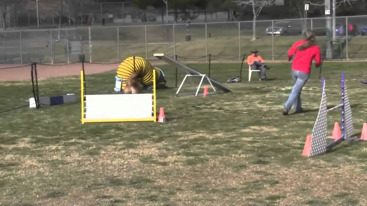 HD-Star Bright - Feb 19, 2012 - Gene Downing(1).mp4 - YouTube