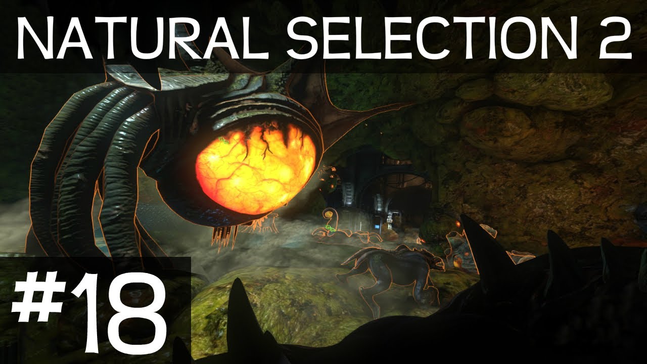 Crazy Last Second Alien Comeback (Natural Selection 2 - Game 18) - YouTube