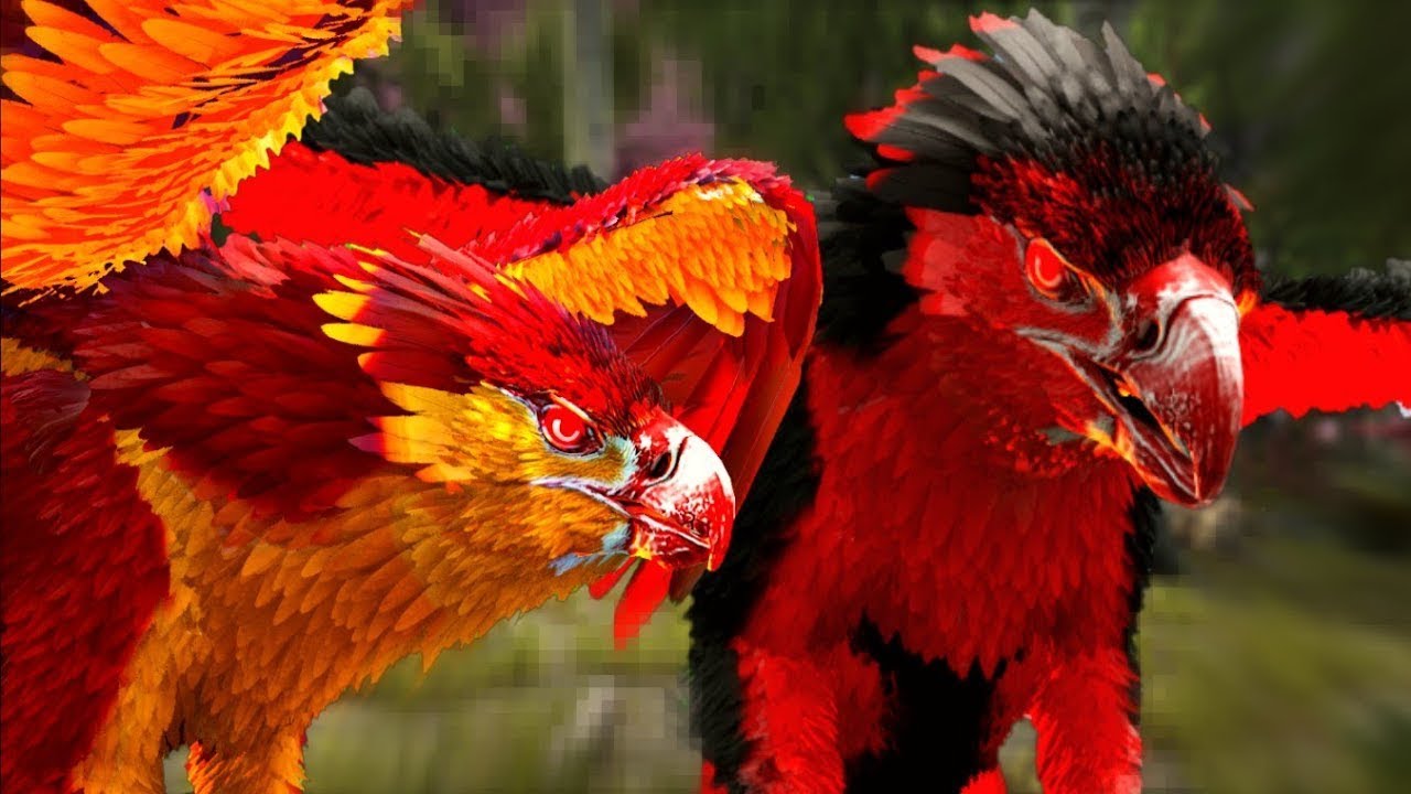 Domei Um Casal De Fire Griffin, Fiquei Chocado Pela Quantidade De Vida ...