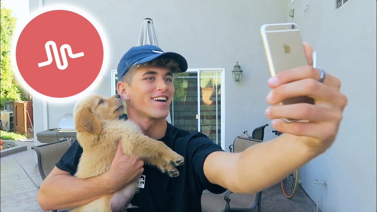 BEST PUPPY MUSICALLY EVER! - YouTube