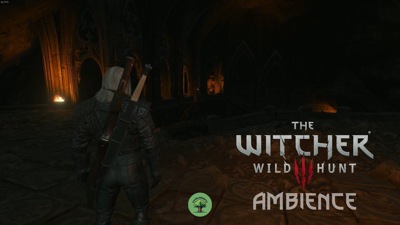 - The Witcher 3 - 1 Hour Elven Ruins Ambience - YouTube