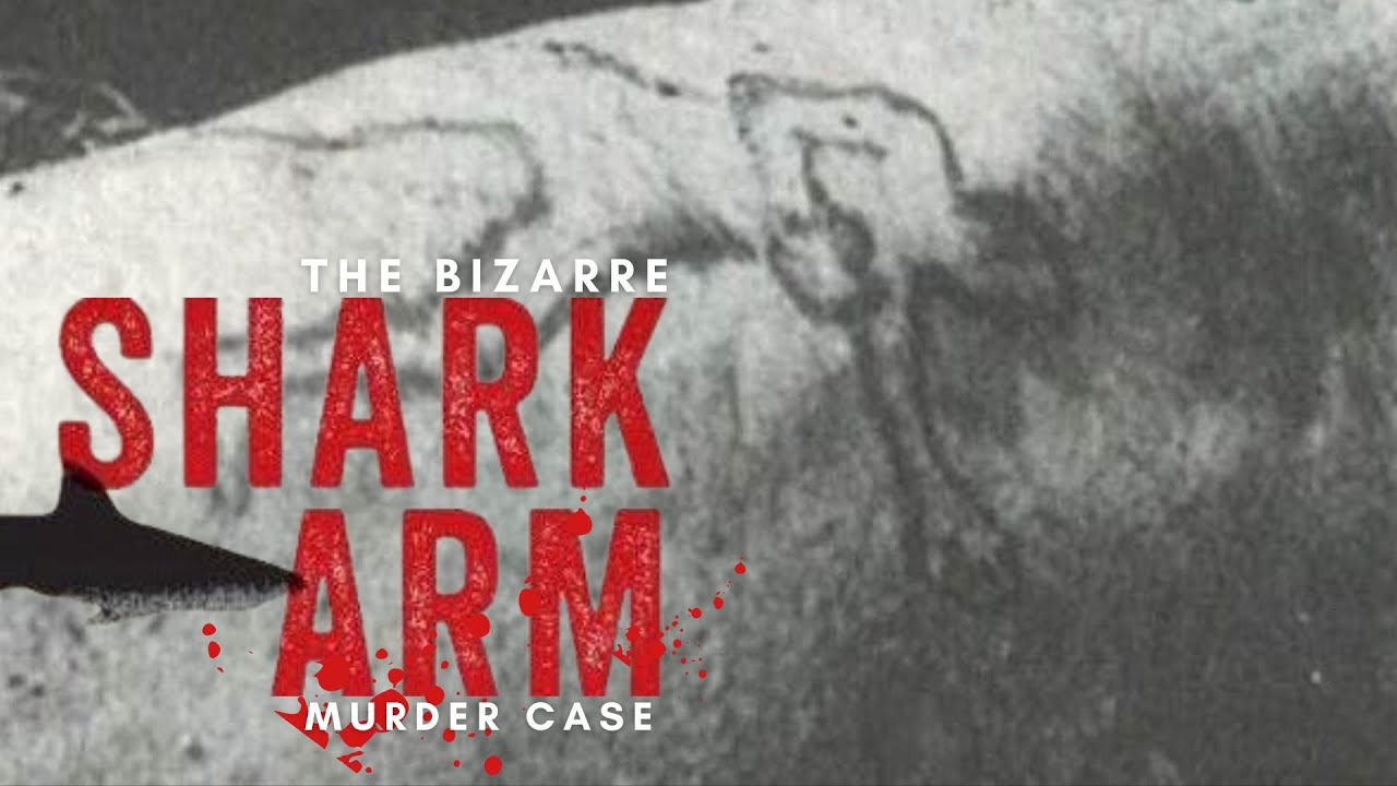 The Bizarre Case of Shark Arm Murders. - YouTube